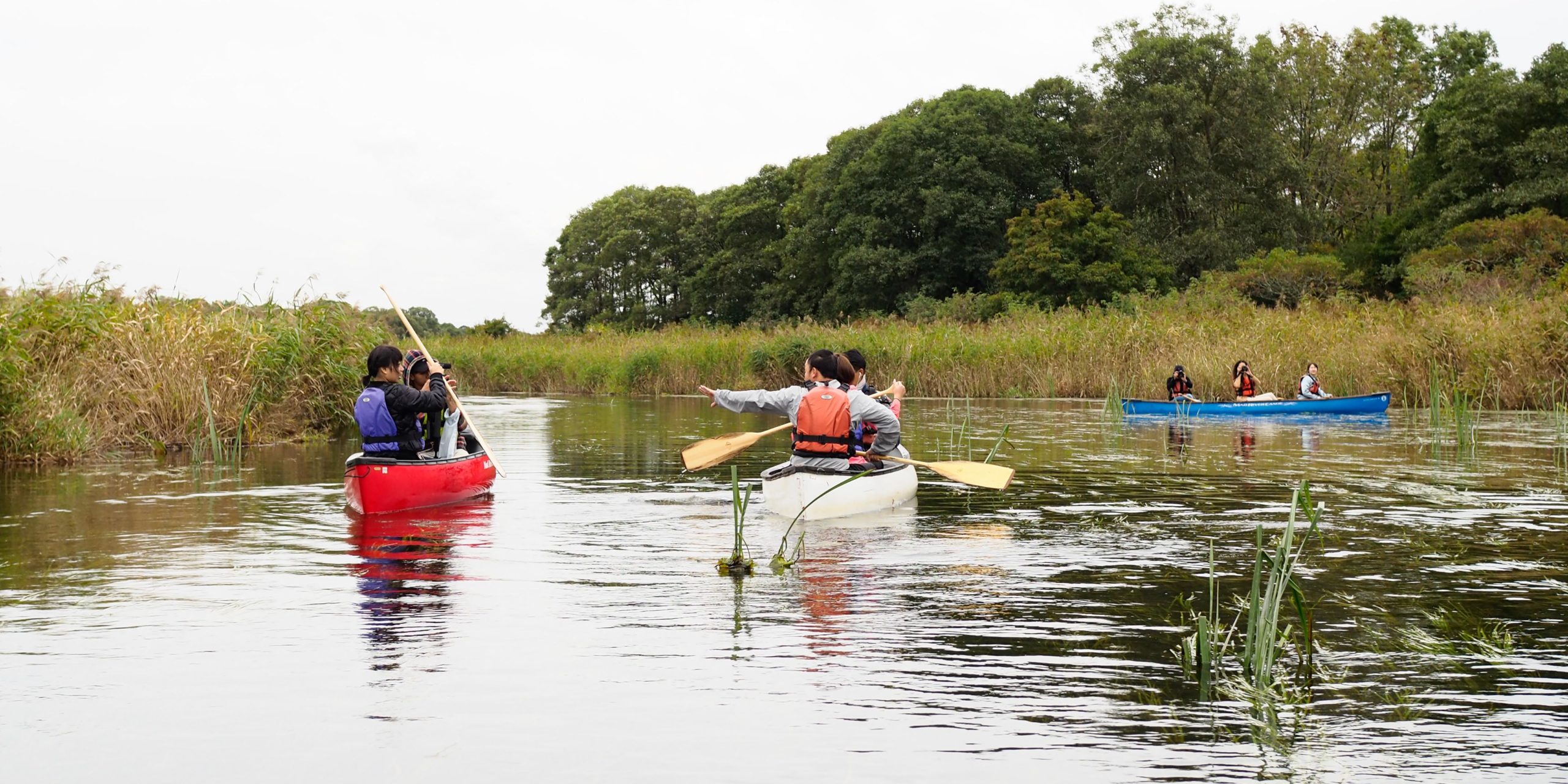 The Interesting History of Kayaks and the Sport of Kayaking ...